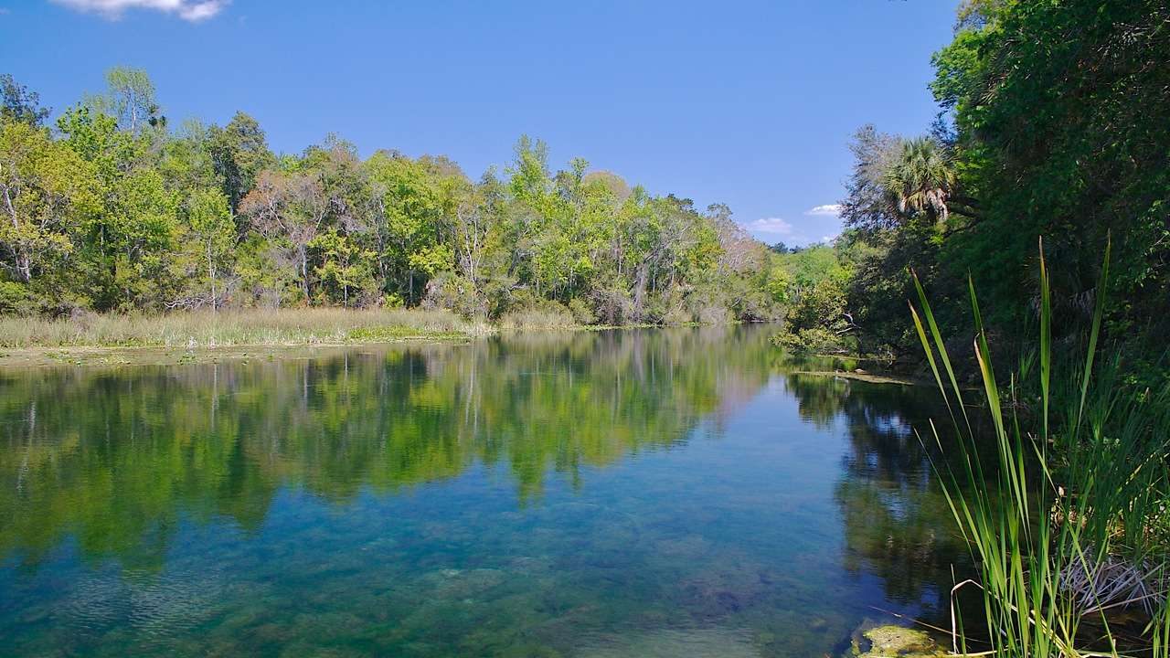 MillDamLakeResort.com – in association with Mill Dam MHP LLC